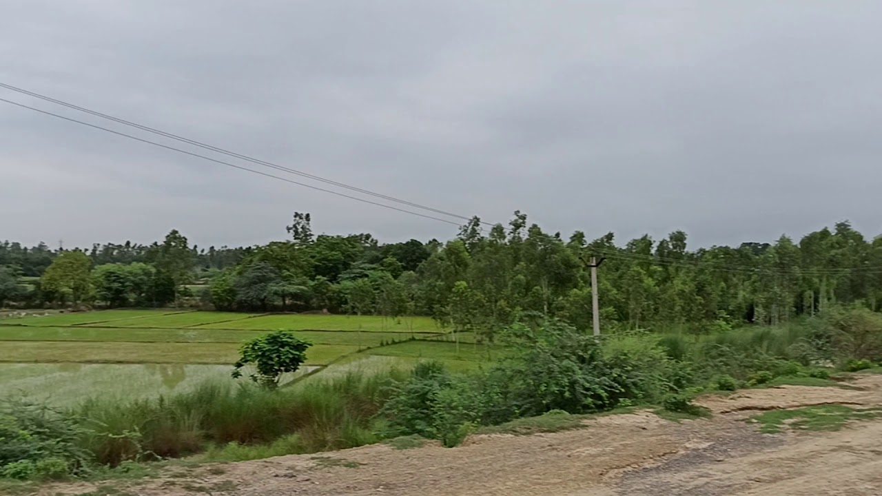 Visit to Sharda Canal - YouTube