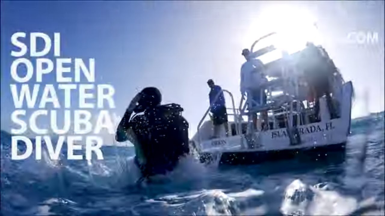 Open Water Scuba Diver - Scuba Diving International - SDI - YouTube Music