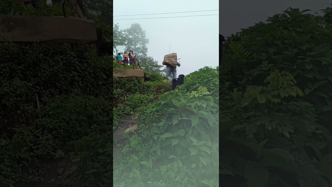 The strong man carrying a big stone on his back 🏋️🏋️ - YouTube