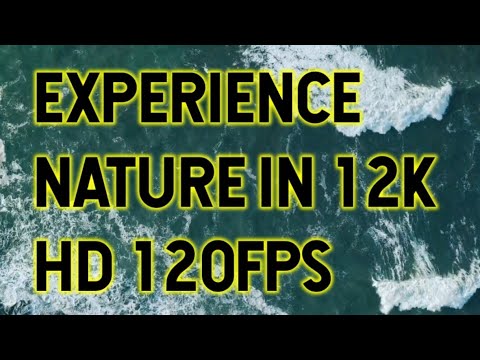 Experience Nature In 12K HD 120fps Beautiful Color Earth Hour Vision ...