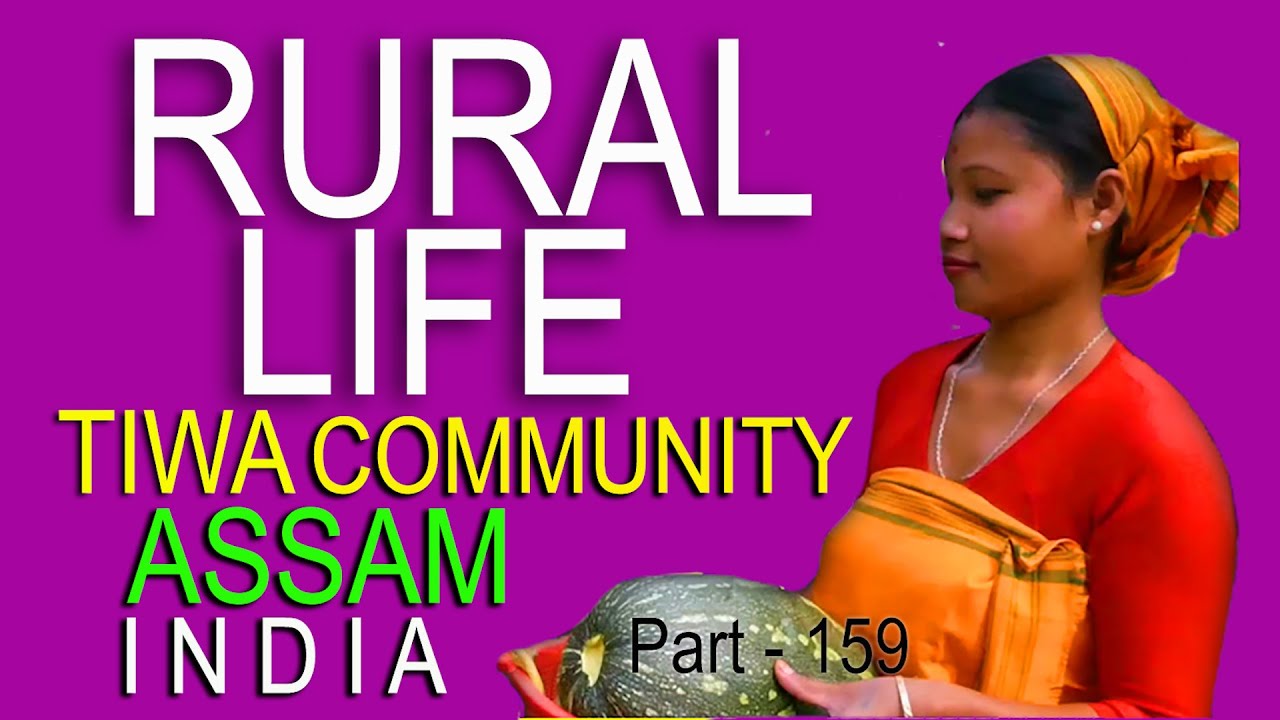 RURAL LIFE OF TIWA COMMUNITY IN ASSAM, INDIA , Part - 159 ... - YouTube