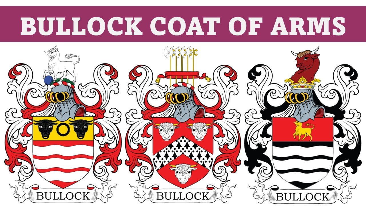 Bullock Coat of Arms & Family Crest - Symbols, Bearers, History - YouTube