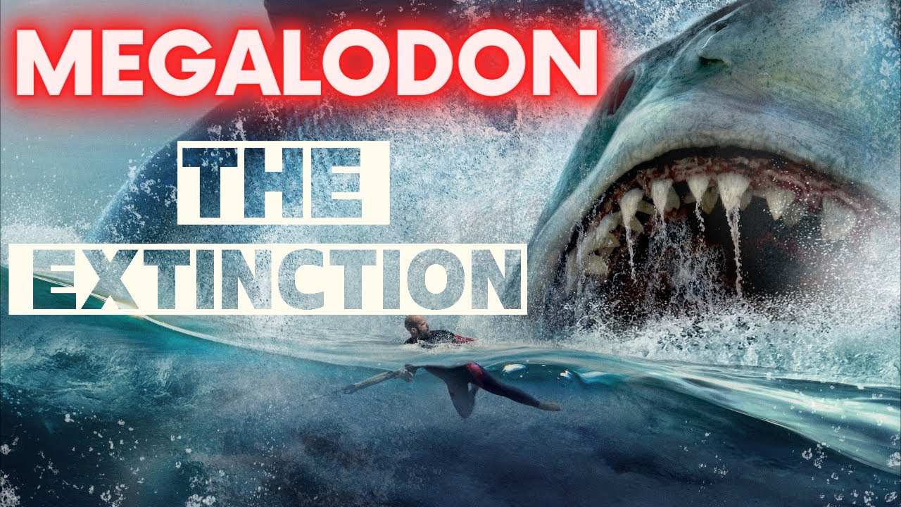The Megalodon's Last Stand: The Mystery Behind Its Extinction - YouTube