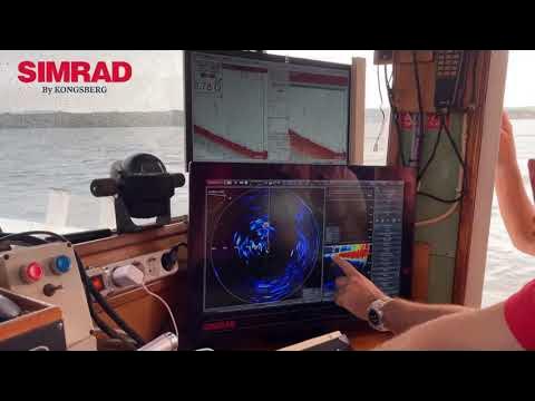 Simrad SY50 in 8,65 fathoms detecting 2 schools and scattered fish - Greece - YouTube