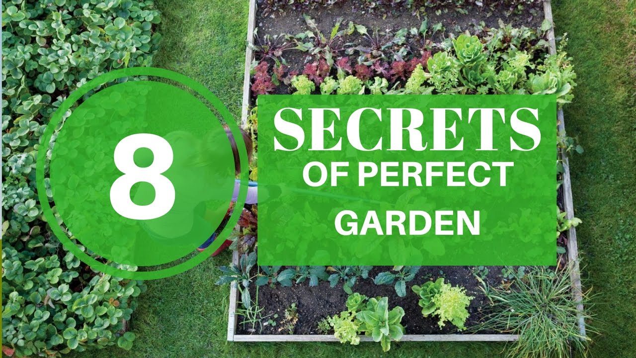Gardening Tips for Vegetables - 8 SECRETS of Perfect Vegetable Garden ...