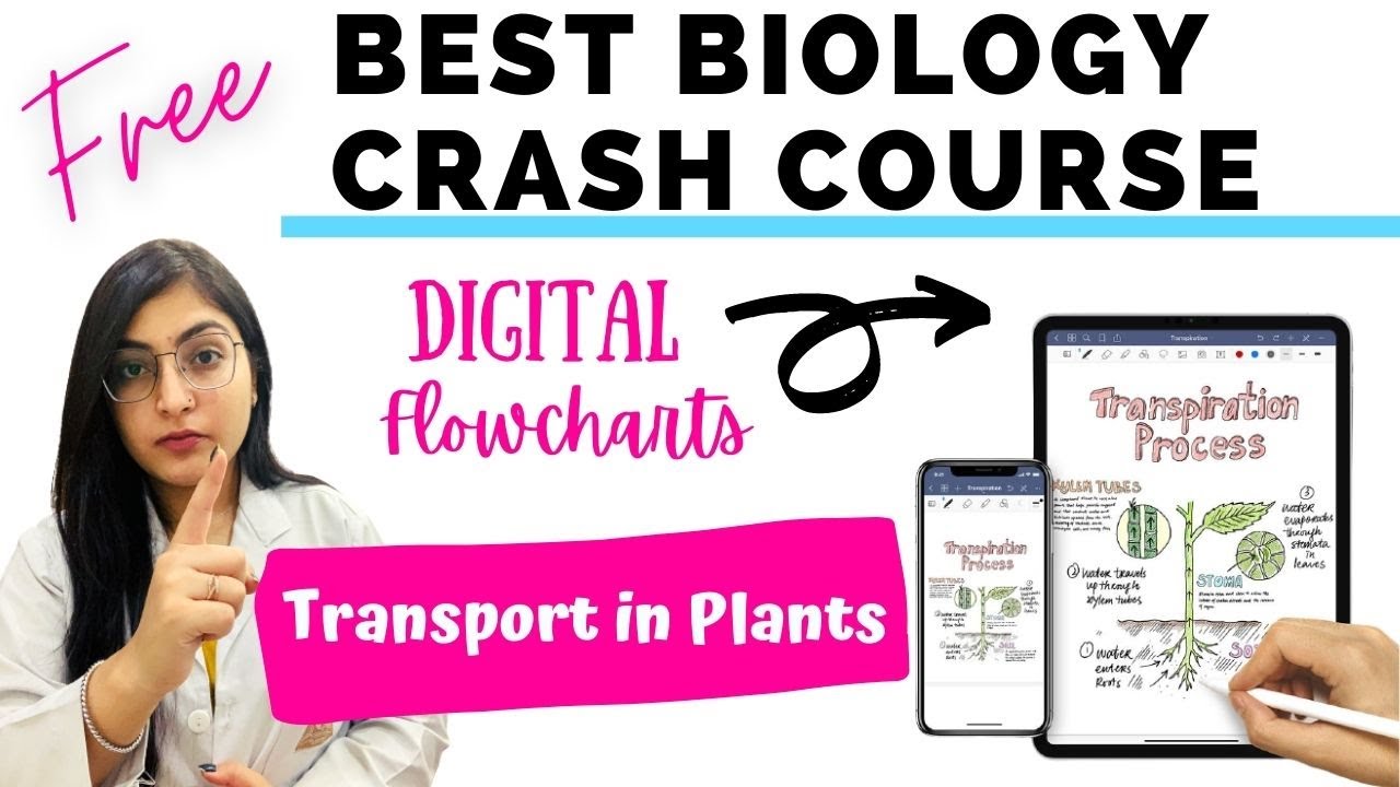 Best Biology Crash Course | Transport In Plants | Ishita Khurana - YouTube