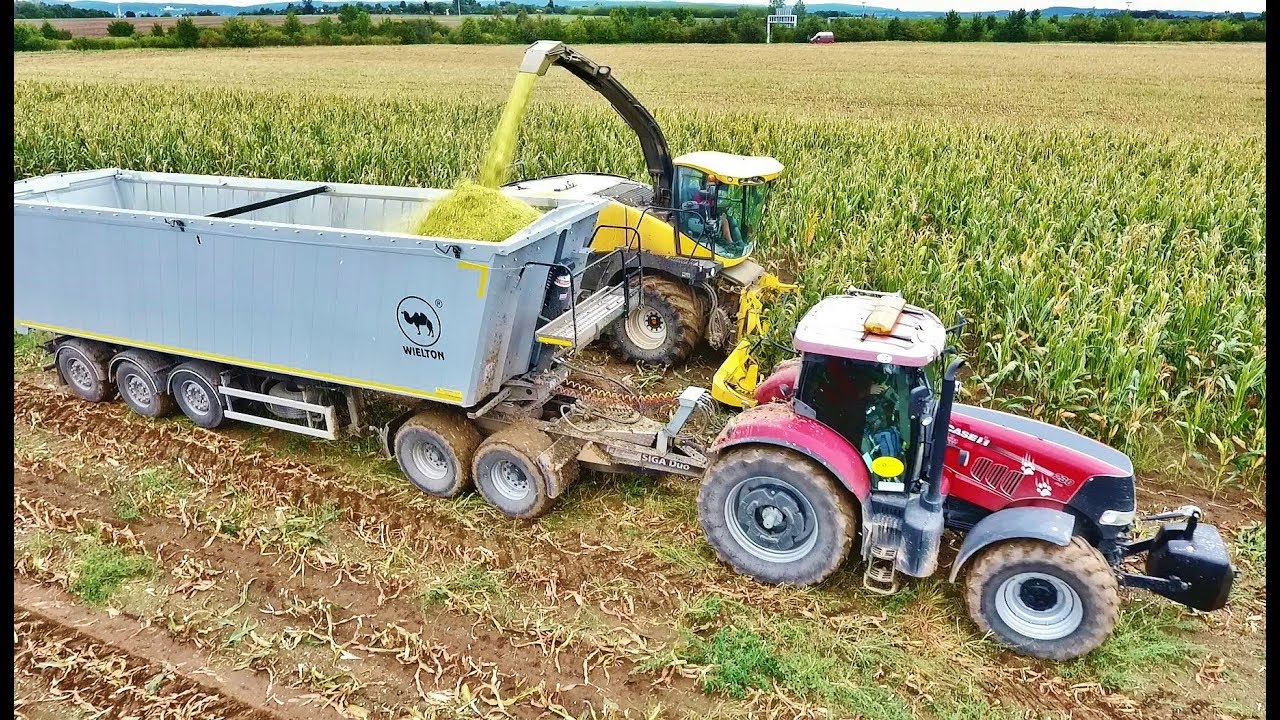 Corn silage 2017 CASE PUMA 230 CVX + Siga Duo + Wielton Agrofilip - YouTube