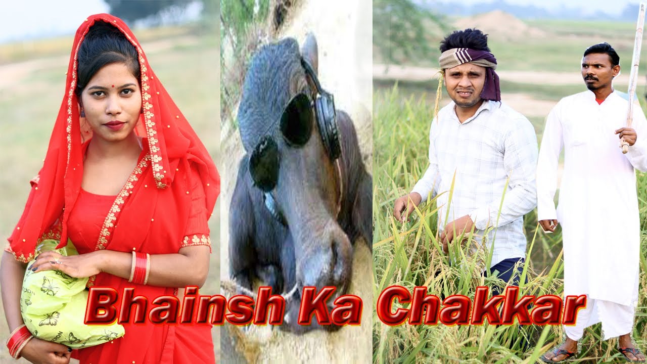 Bhainsh Ka chakkar || Bhainsh ke chakkar me dhunayi - YouTube