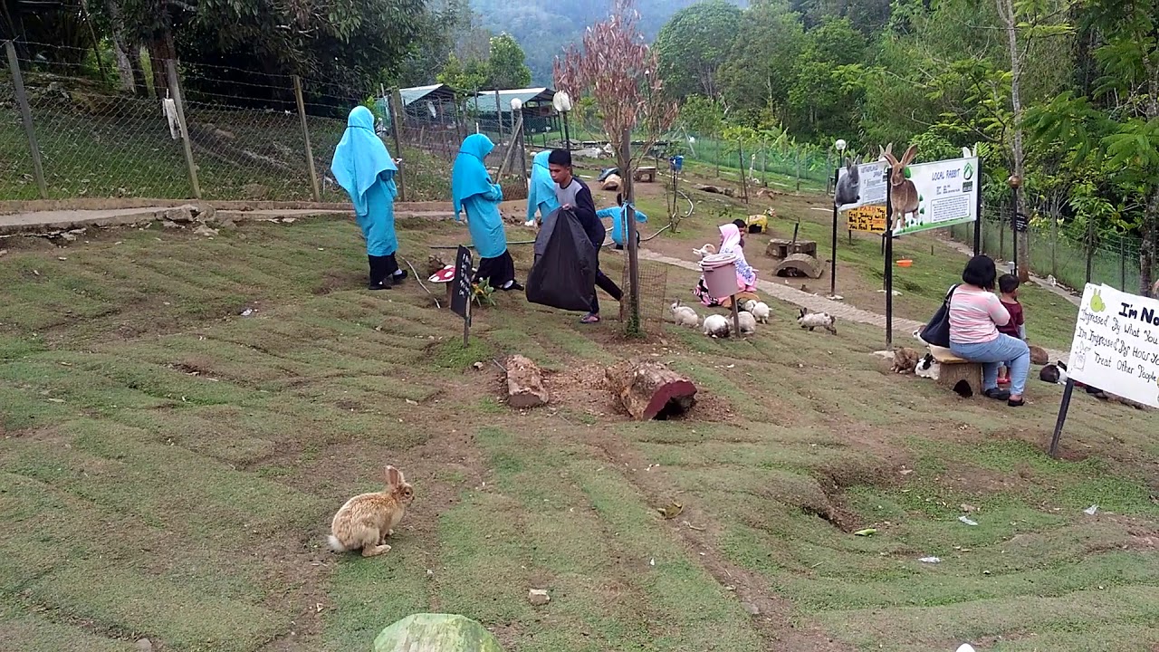 SMAS-TAMAN ARNAB KUNDASANG - YouTube