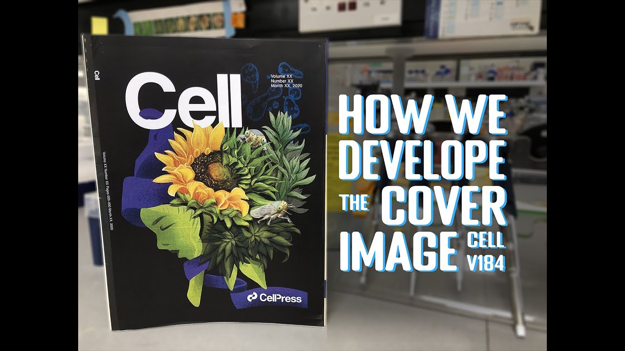 How we developed the cover image for Cell (v184, issue20) - YouTube