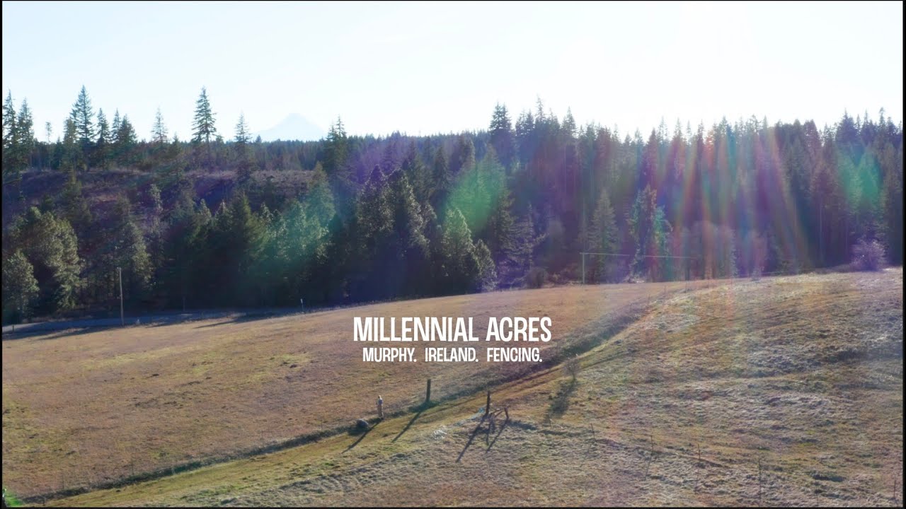 4. Millennial Acres: Murphy, Ireland, Fencing. - YouTube