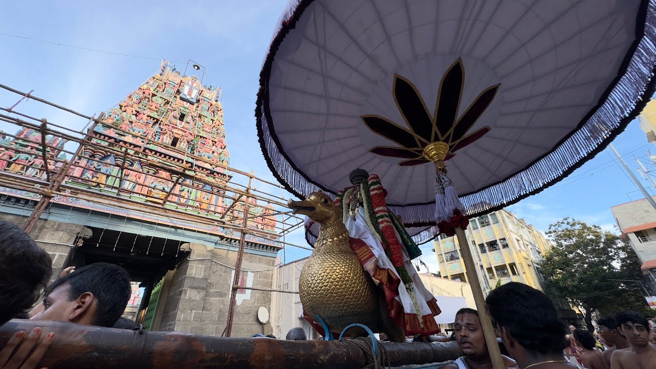 Sri Varadhar - Hamsa Vaganam - YouTube