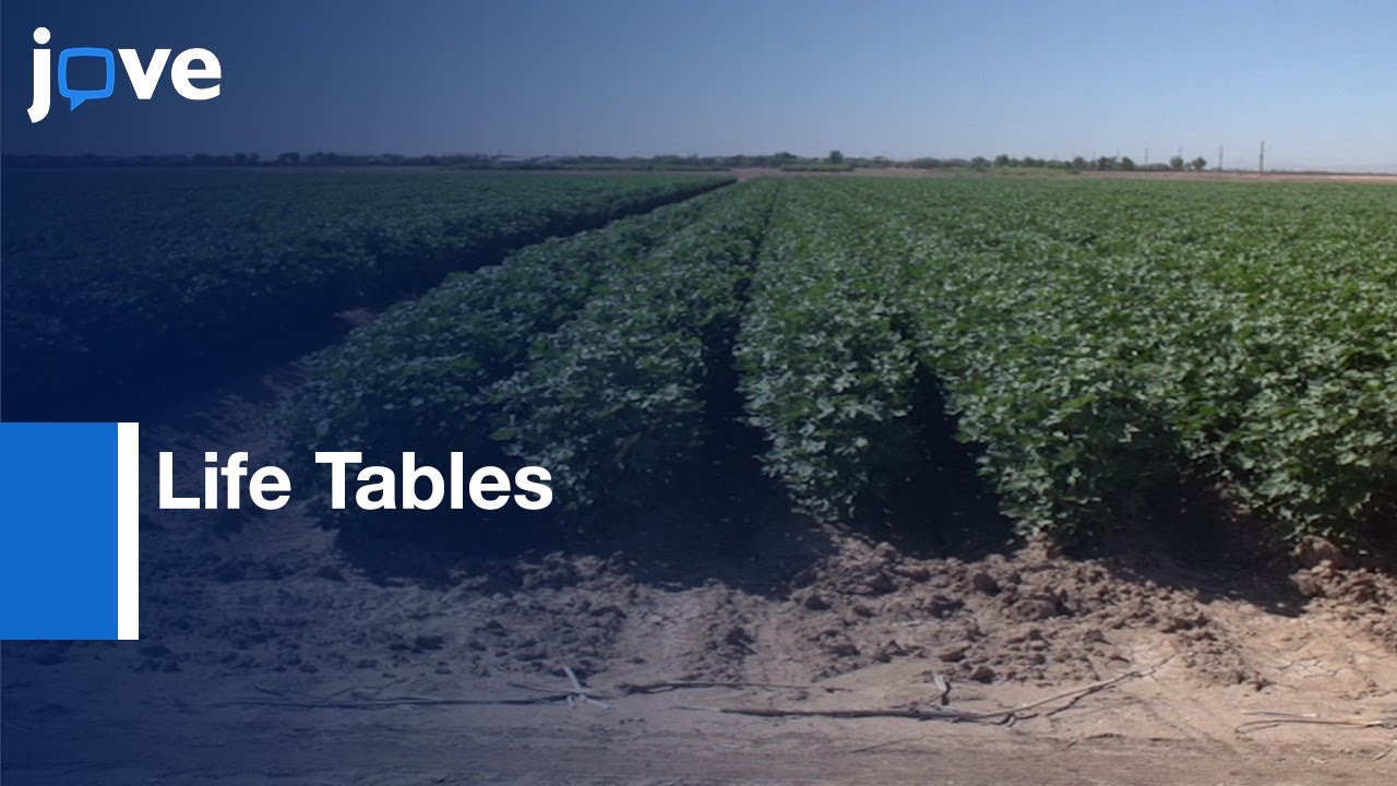 Life Tables developed for Insects using Whitefly in Cotton as Model ...