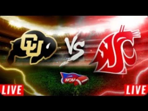 COLORADO BUFFALOES vs WASHINGTON STATE COUGARS LIVE HD | NCAAF week 12 ...
