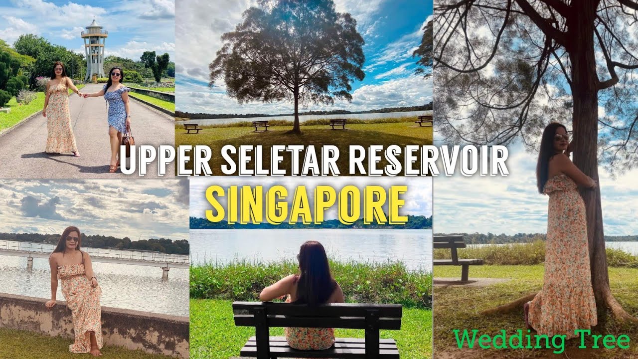 Exploring Upper Seletar Reservoir || Rocket Tower || Wedding Tree ...