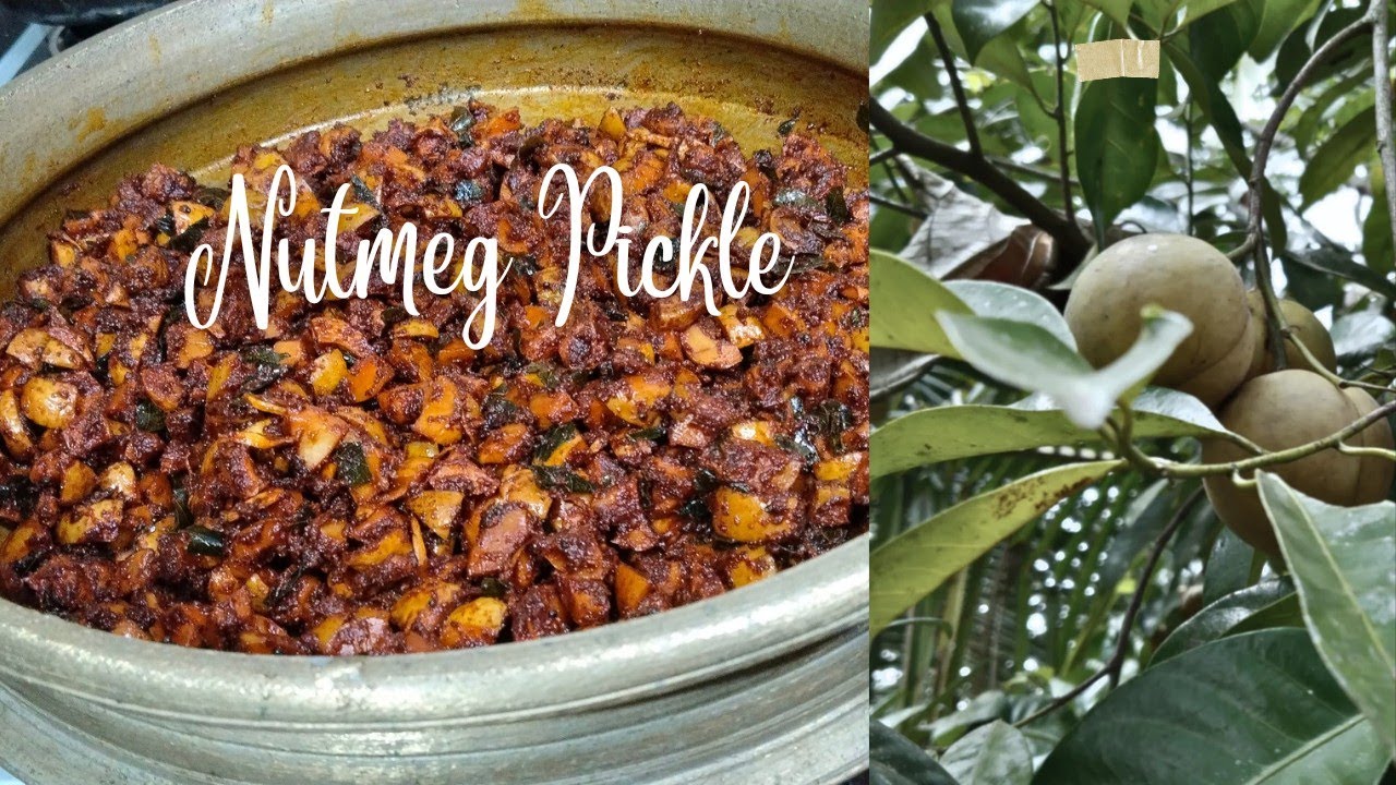 Nutmeg Pickle//Jadhikaa Acchar// Nutmeg pickle Kerala style//Minis ...