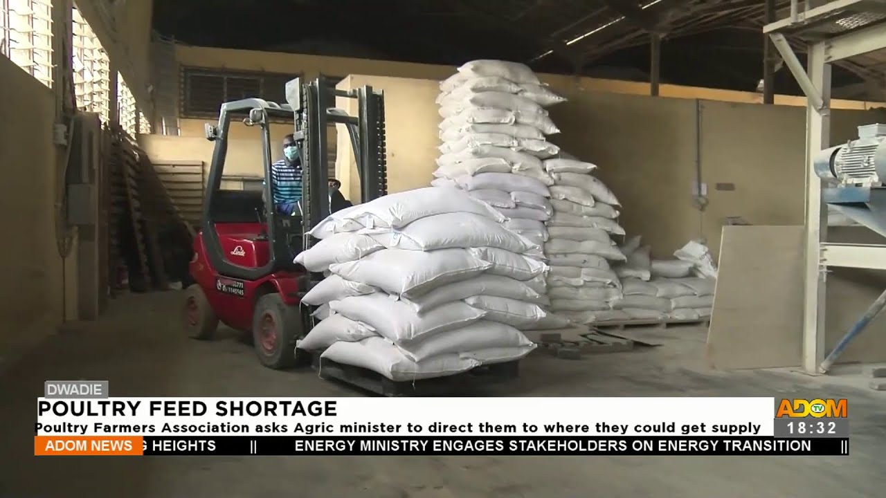 Poultry Feed Shortage – Adom TV News (23-3-22) - YouTube