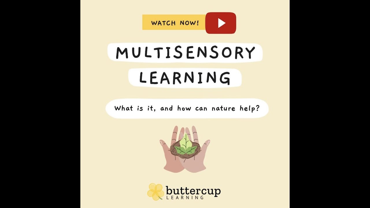 Multisensory Learning - YouTube