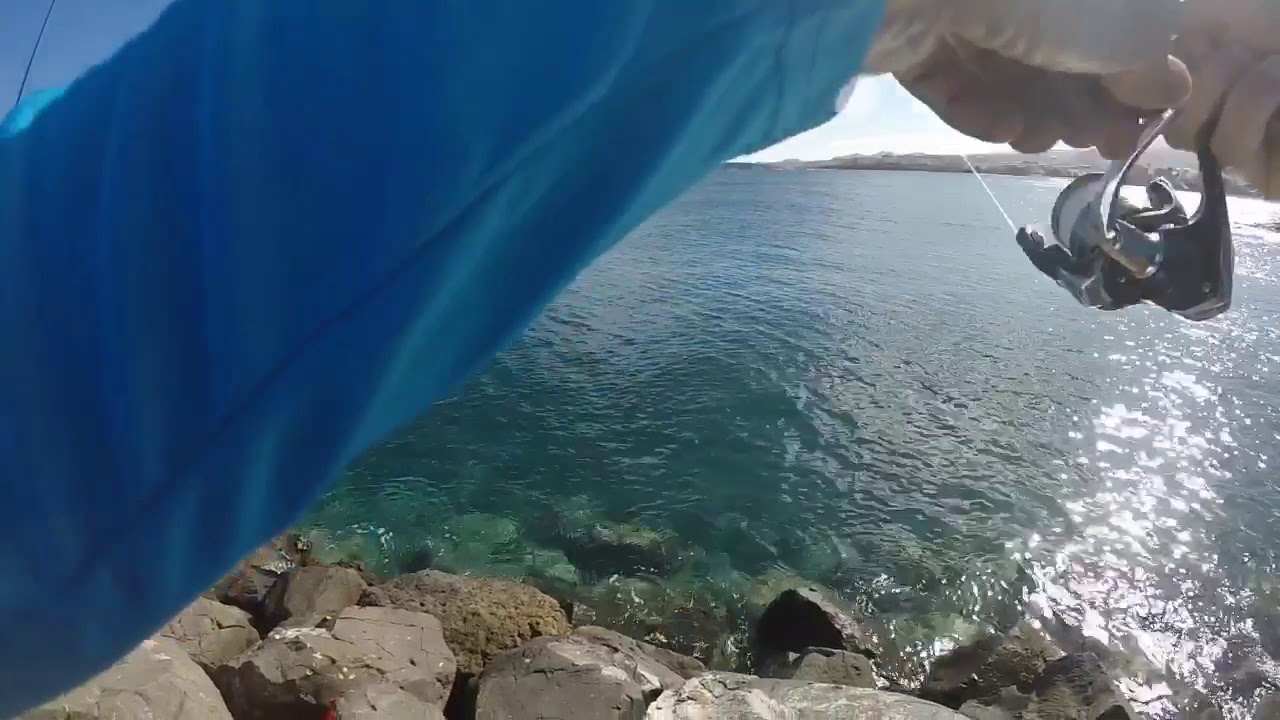 Pesca a boya entretenida con sorpresa - YouTube