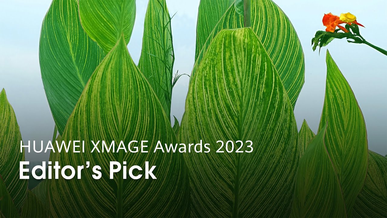 HUAWEI XMAGE Awards 2023: Editor's Pick - YouTube