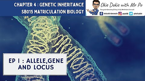 Matriculation Biology Chapter 4 Genetic Inheritance - YouTube