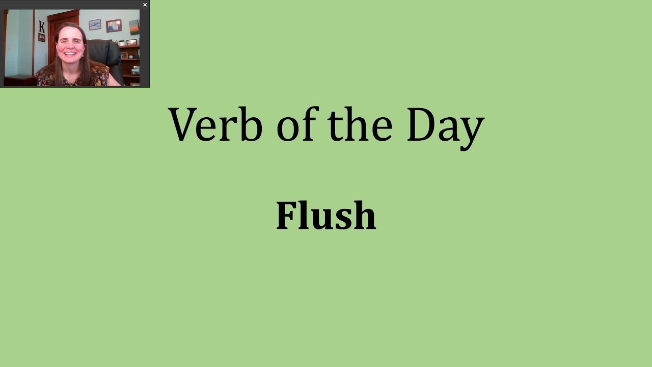 Verb of the Day - Flush - YouTube