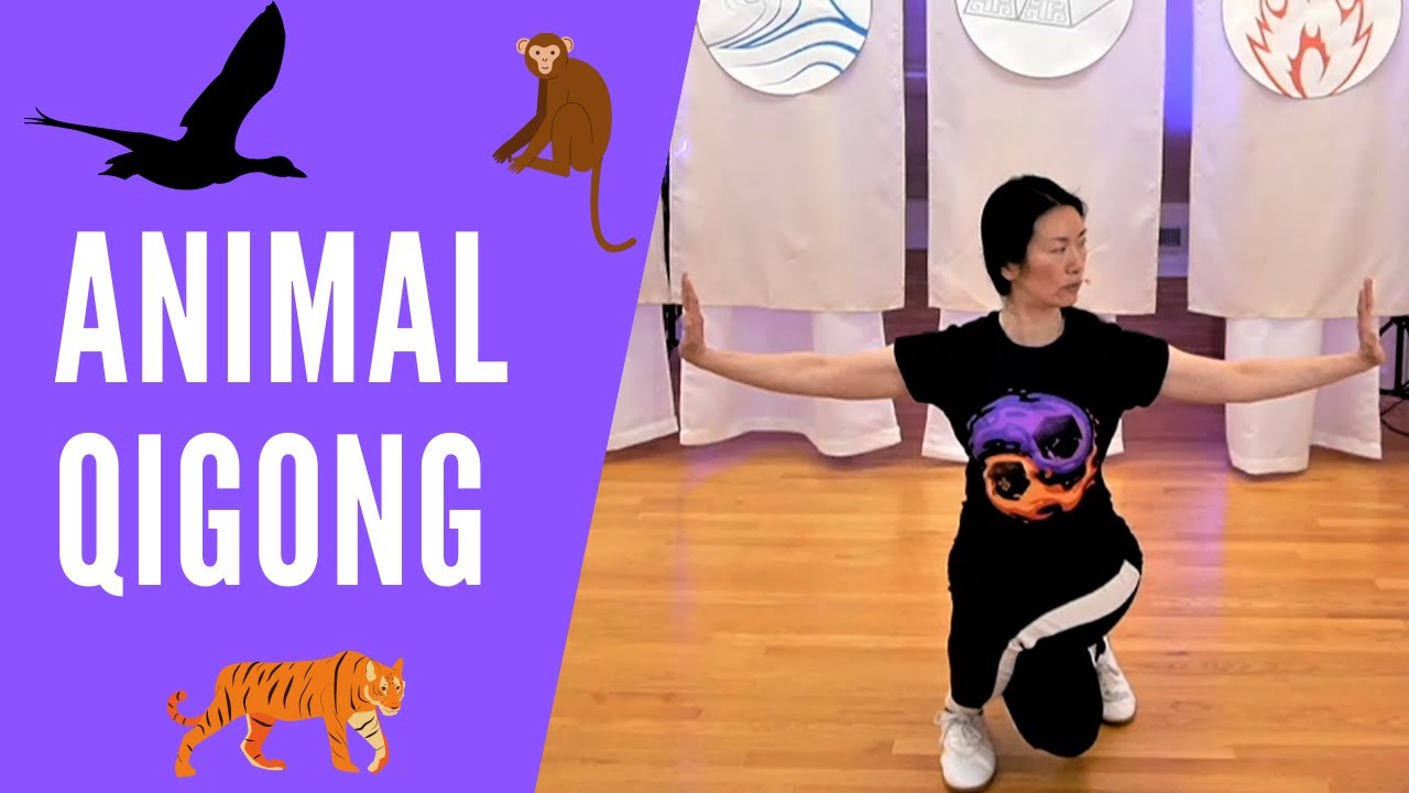 Animal Qigong (To Revitalize Your SPIRIT) - YouTube