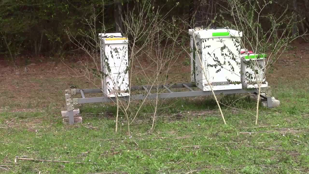 Moving Beehives 3 - YouTube