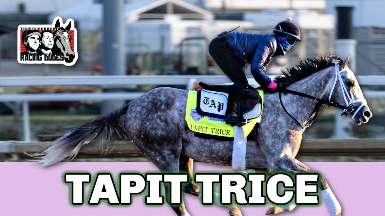TAPIT TRICE Streaks Into Churchill For Pletcher, Saez | 2023 Kentucky ...