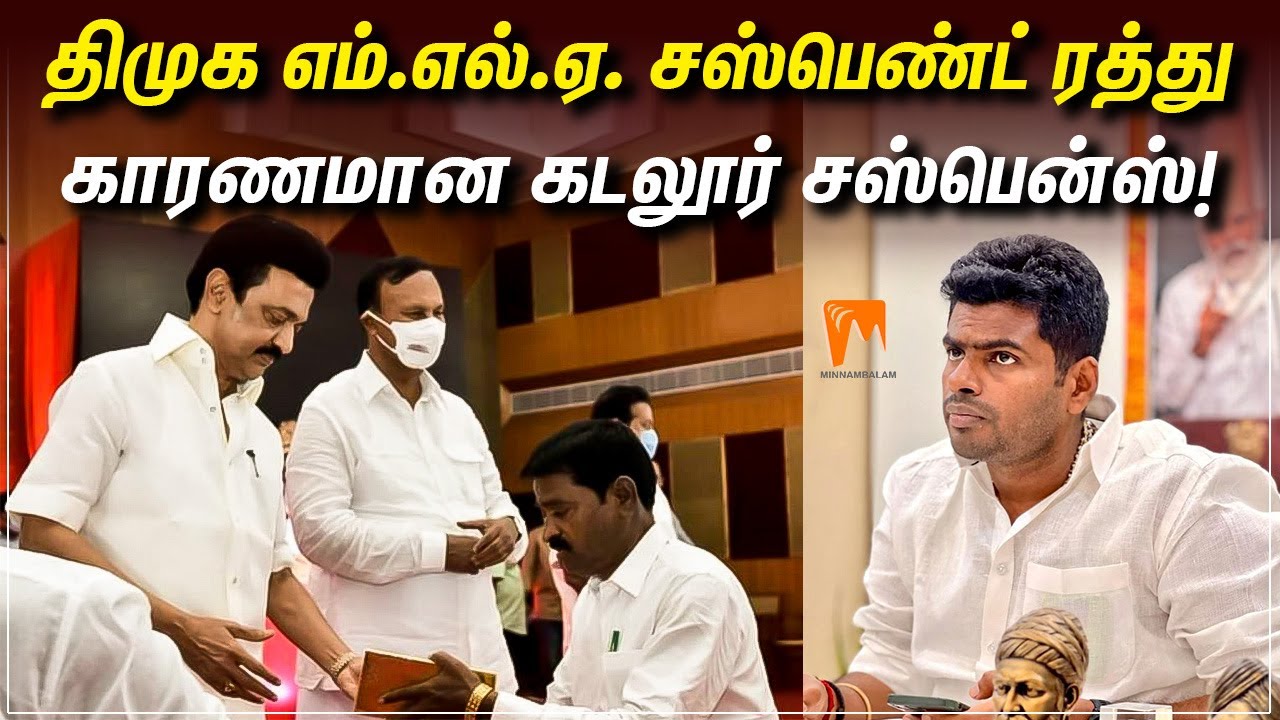 DMK MLA Ayyappan | திமுக எம்.எல்.ஏ. சஸ்பெண்ட் ரத்து: காரணமான கடலூர் ...