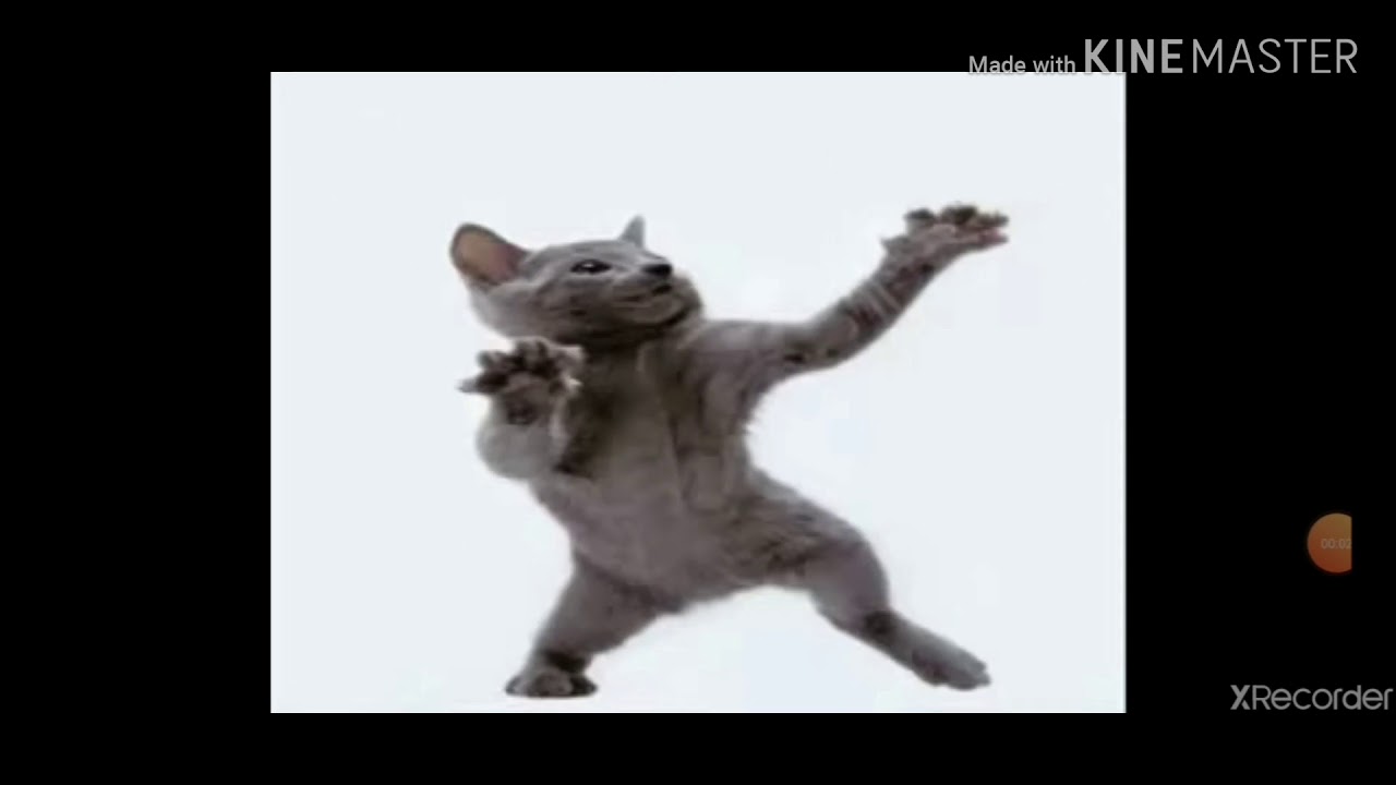The most bababui in 6 seconds - YouTube
