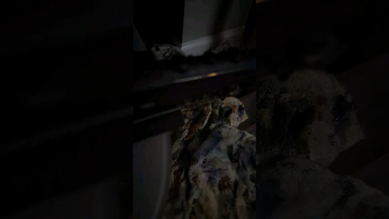 949 MODEL TRAIN!!! - YouTube