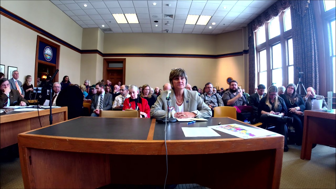HB101 564 NH State Rep Lisa Freeman 564 - YouTube