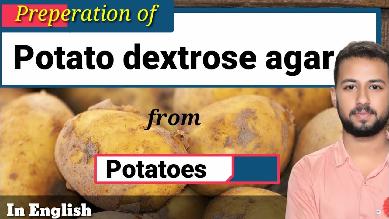 PDA preparation from Potatoes | potato dextrose agar preparation | PDA ...