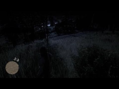Red Dead Redemption 2 - Black Rat Location - YouTube