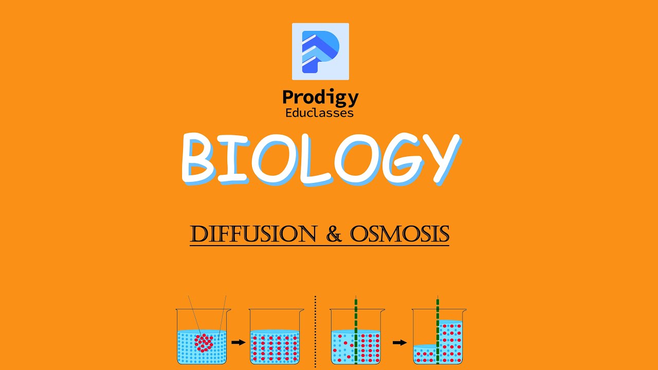 DIFFUSION AND OSMOSIS || CLASS 9 & 10 || CBSE || ICSE || PRODIGY EDUCLASSES - YouTube