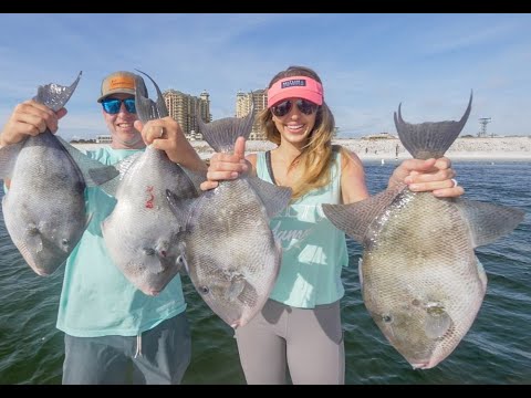 Epic Florida Saltwater Fishing for Triggerfish & Snapper Offshore ...