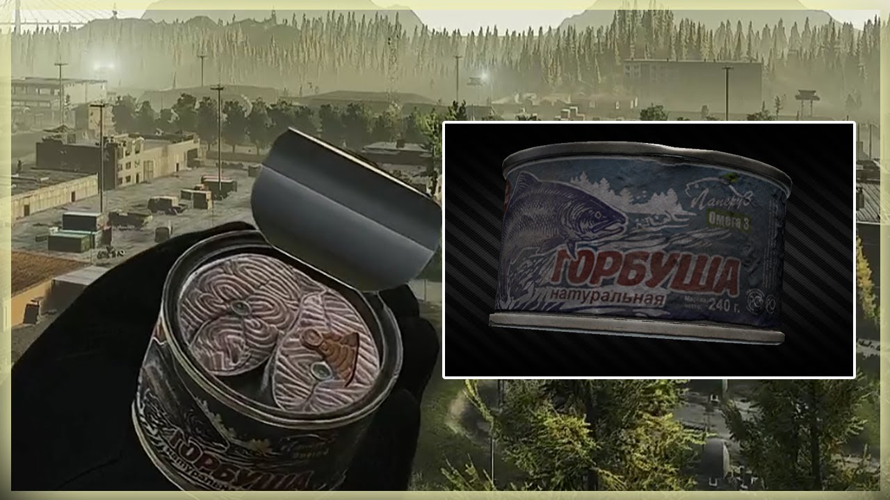 CAN OF HUMPBACK SALMON FOOD EATING ANIMATION IN ESCAPE FROM TARKOV EFT ...