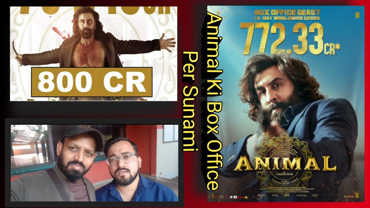 Animal Ki Tabad Tod Kamai|Animal Box Office Tehelka|#ranbirkapoor # ...