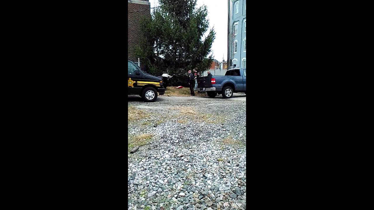 Pig gets arrested!!! - YouTube