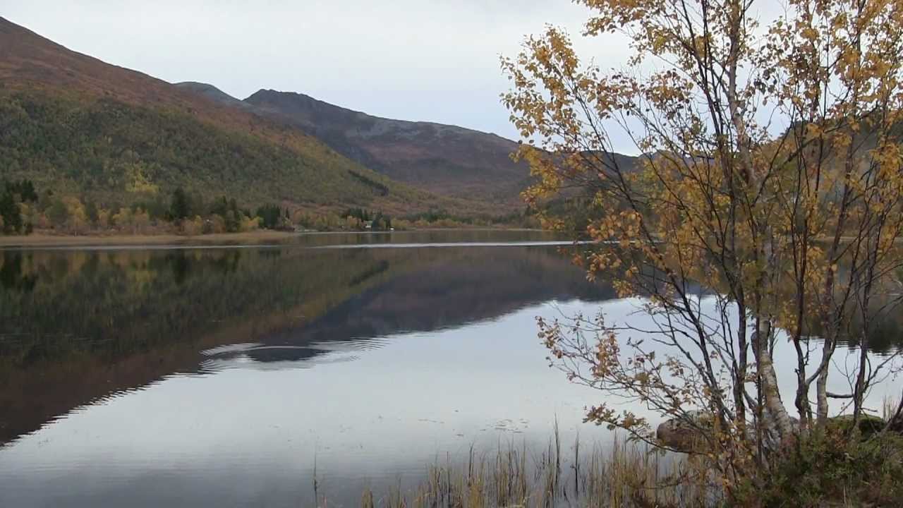 Skaret natursti - Skarvatnet, Fræna 30.09.2012 - YouTube