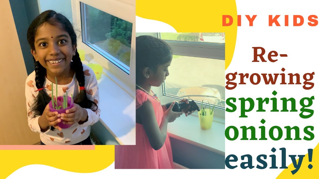 Regrowing spring onions from bulbs; easy DIY crafts for kids - YouTube