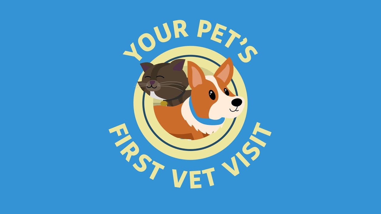 Your First Vet Visit - YouTube