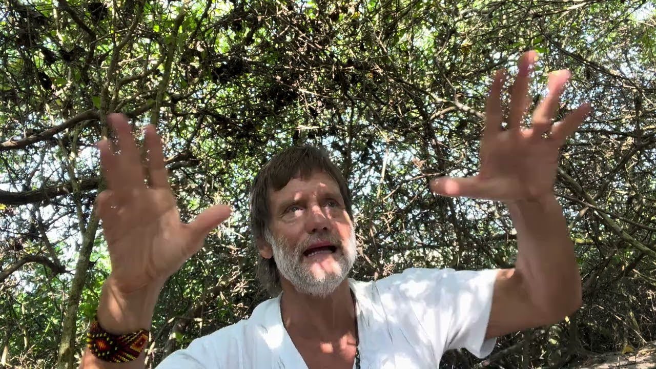 Why Did God Save Me, Just To Crush Me Again? - YouTube