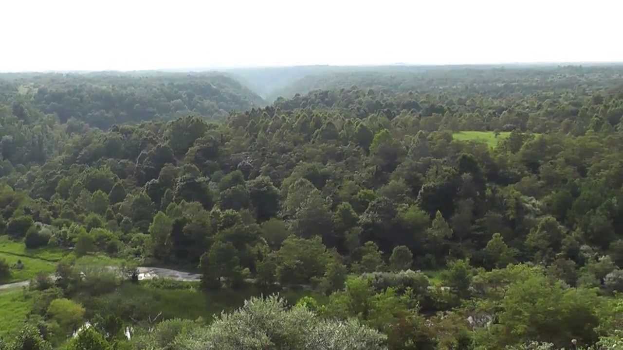 Breathitt County Kentucky.Elk View HD - YouTube
