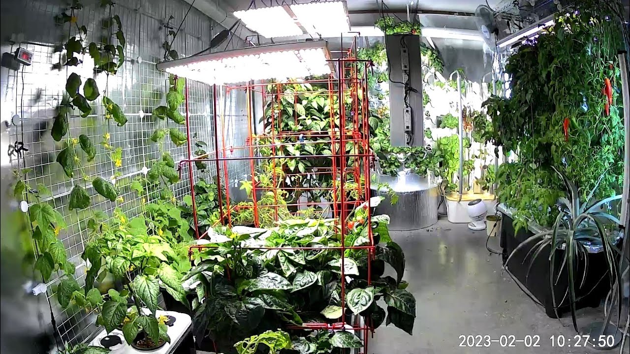 Hydroponic Grow Room - YouTube