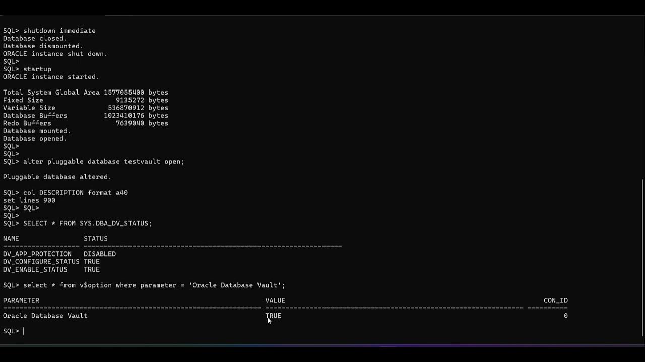 config database vault oracle 19c using oracle enterprise manager cloud ...