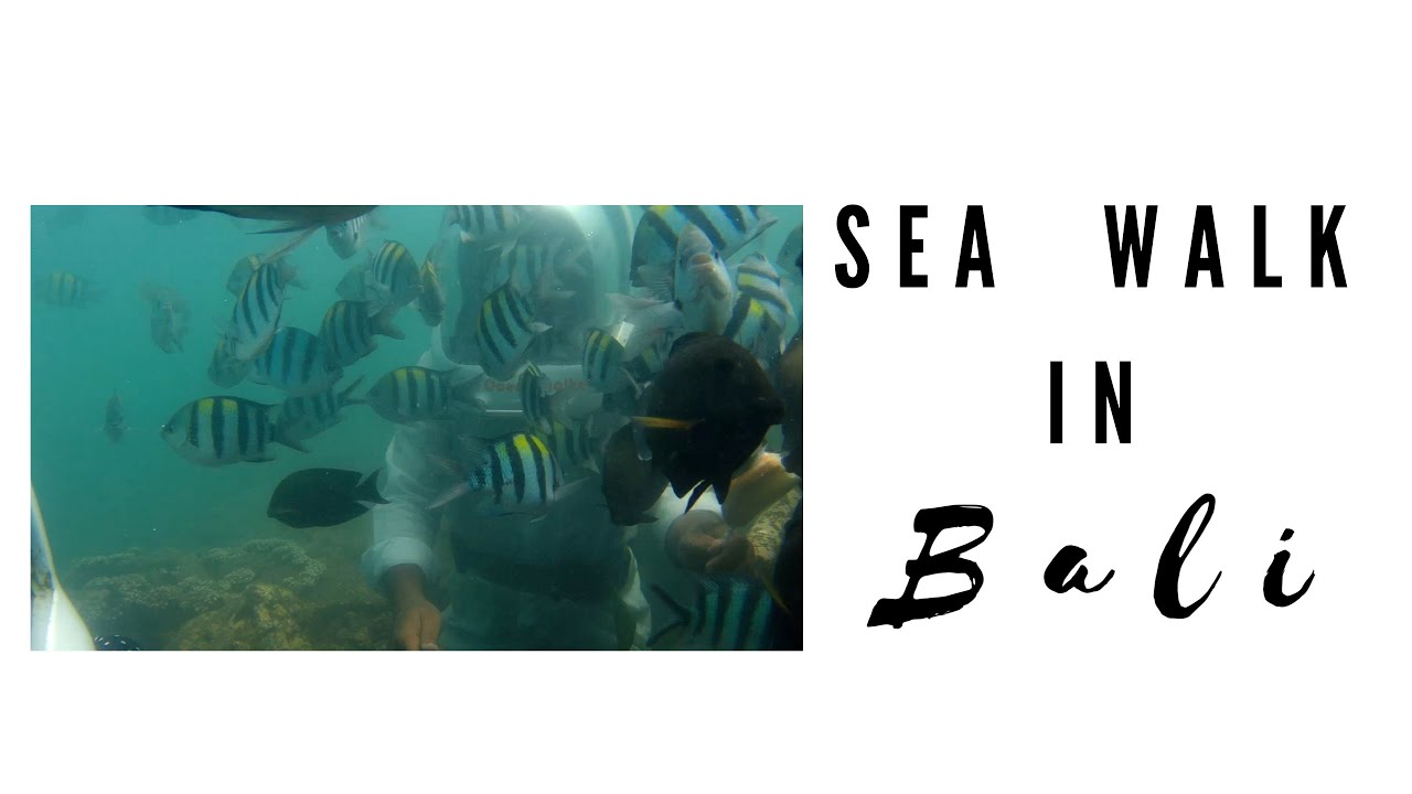 Sea Walk in Bali - YouTube