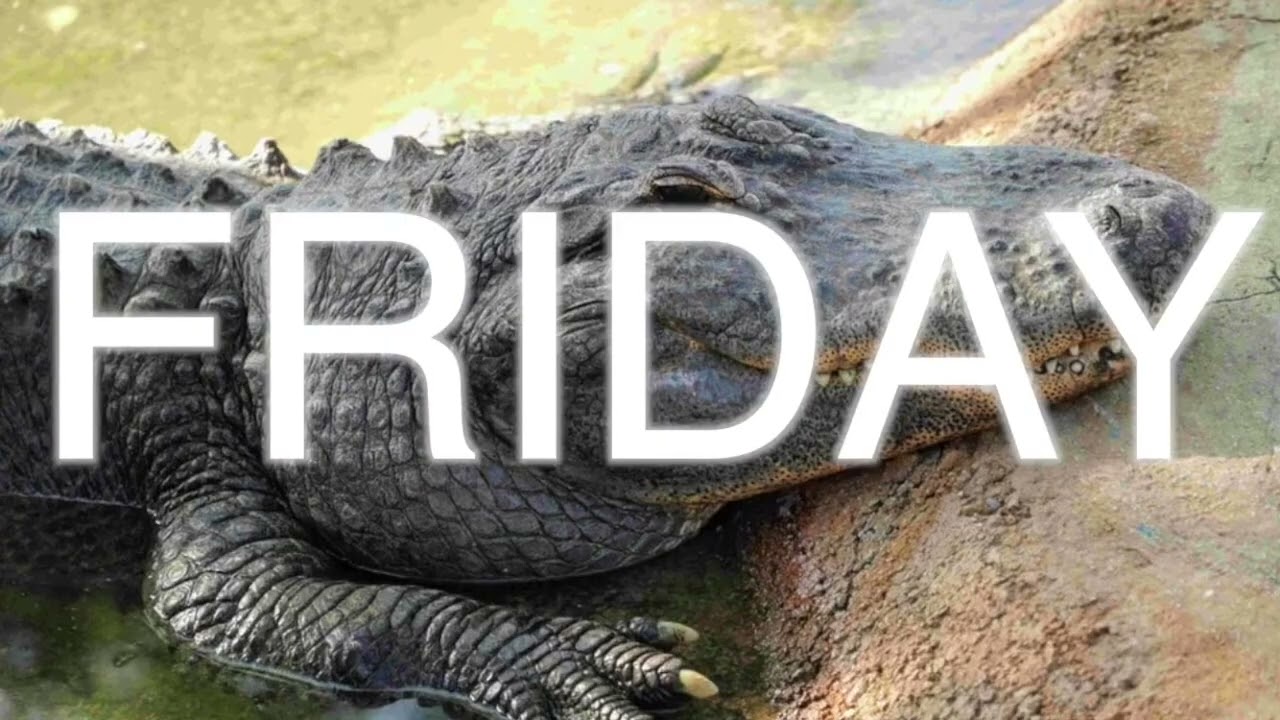 Flat Friday - YouTube