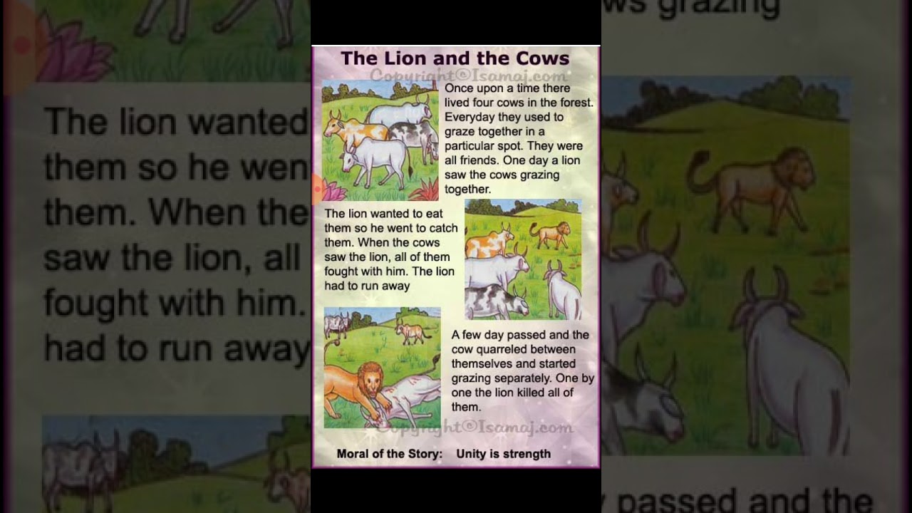 Lion and cows moral story - YouTube